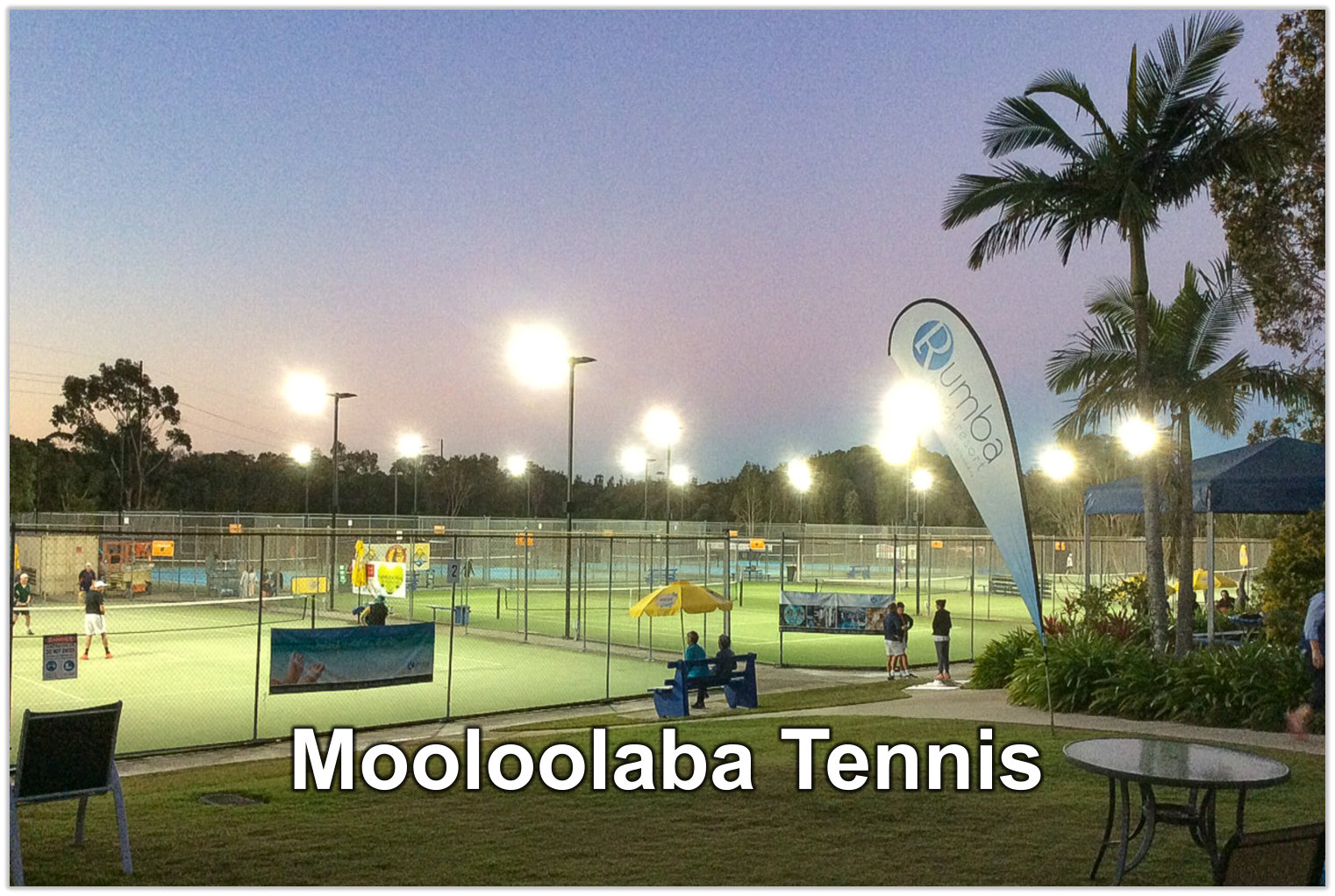 Tennis Seniors Queensland News